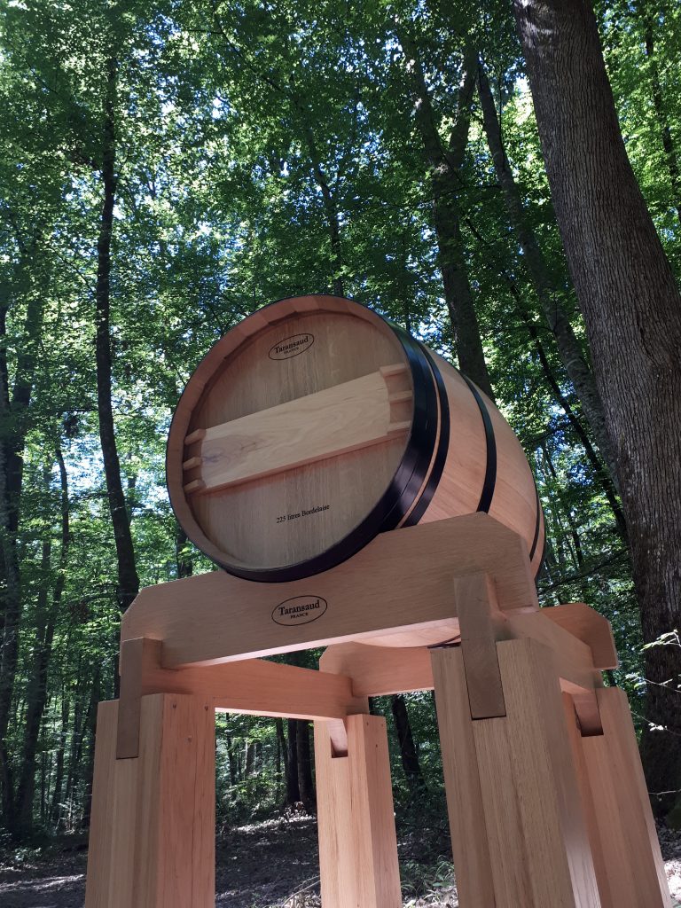 Futaie Colbert II in the French prestigious forest of Tronçais - Taransaud